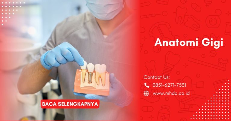 Anatomi Gigi : Pengertian, Bagian dan Struktur Anatomi Gigi
